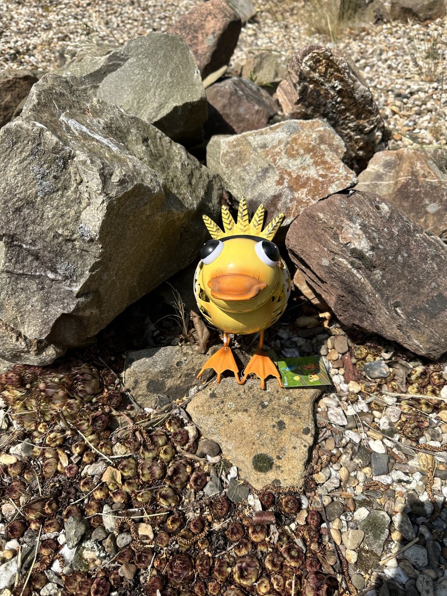 Metalen solarlamp "eend" - geel + oranje - met colourchanging LED ...