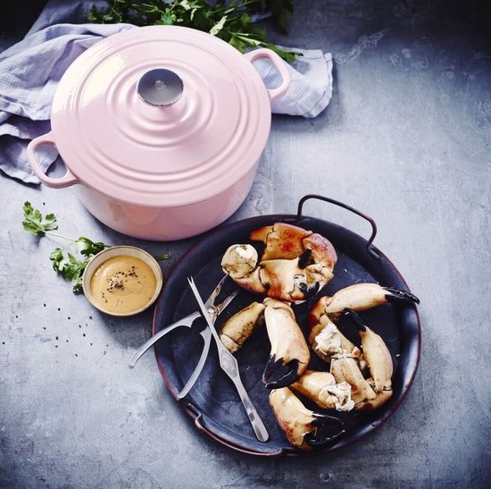 BK Bourgogne braadpan Ø 28 cm - roze - gietijzer - inductie | bol.com