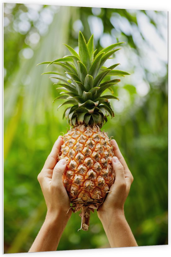 PVC Schuimplaat - Verse tropische Ananas in Mensenhanden - 100x150 cm ...