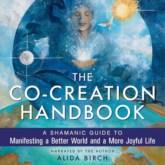 Co-Creation Handbook, The, Alida Birch | 9781094261003 | Boeken | bol.com