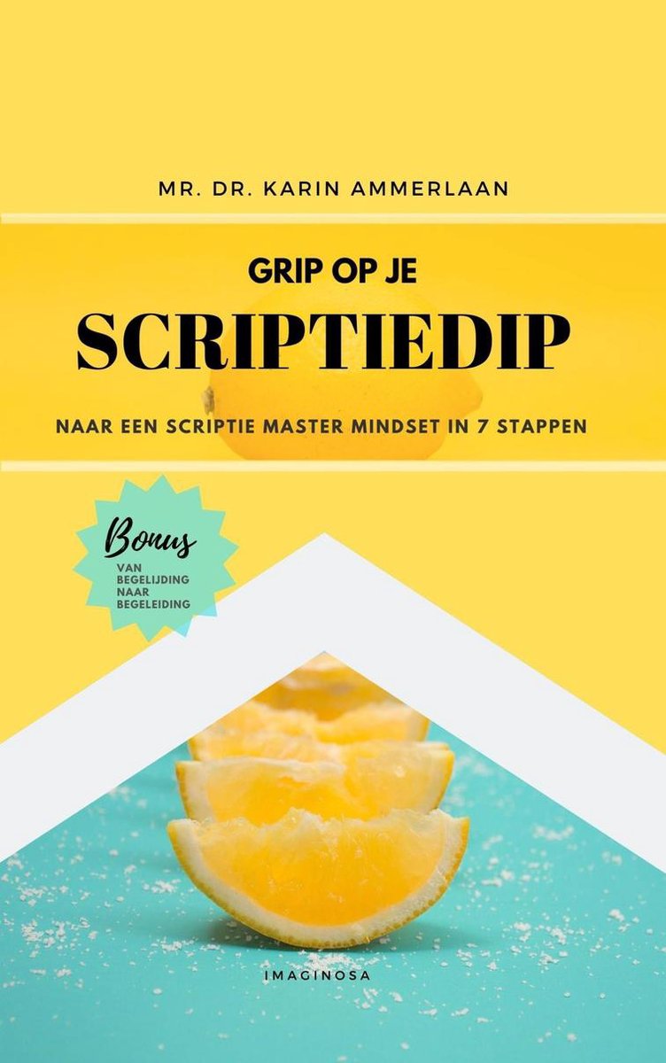 GRIP OP JE SCRIPTIEDIP (ebook), Karin Ammerlaan | 9789082899238 | Boeken | bol