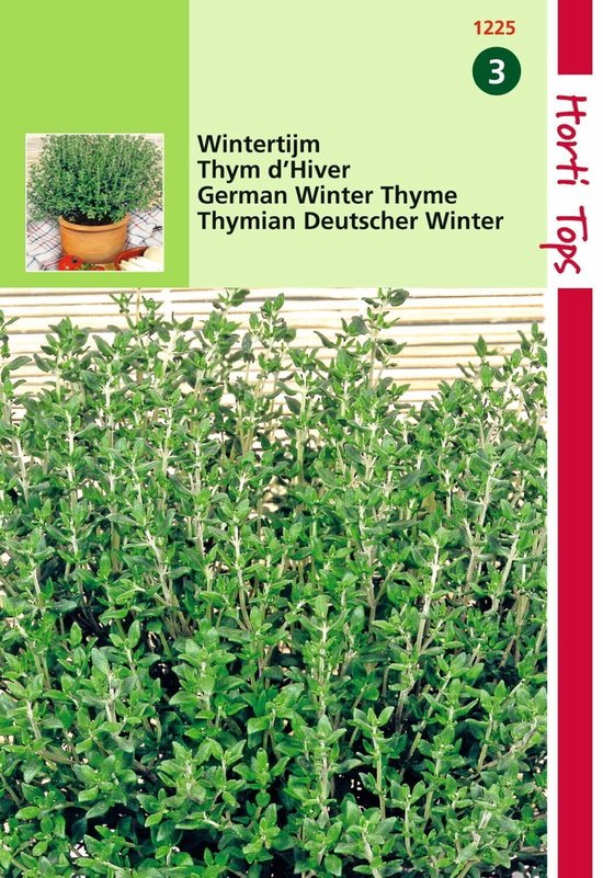 2 stuks Echte Tijm, Wintertijm (Thymus vulgaris) | bol