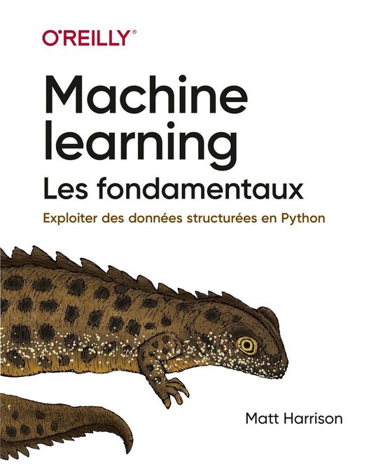 Machine Learning Les fondamentaux - collection O'Reilly (ebook), Matt ...