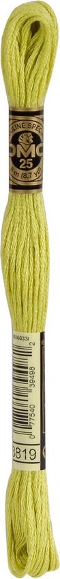 DMC Borduurgaren-3819 Lime Groen | bol.com