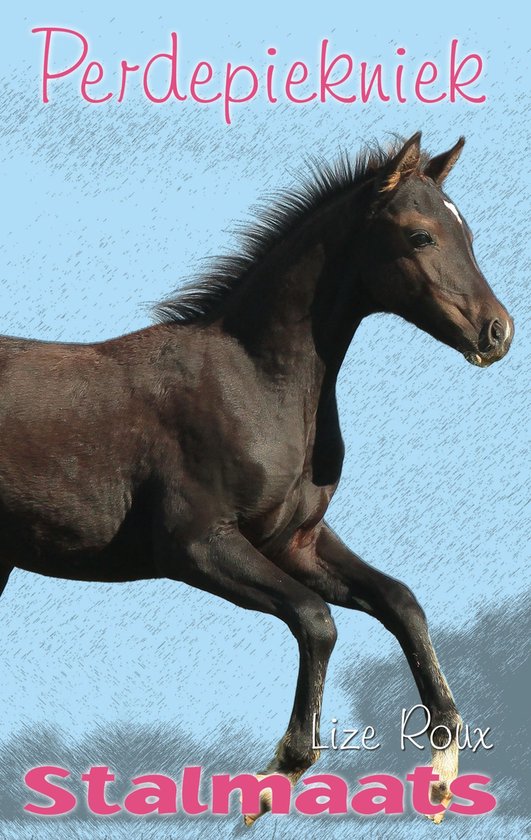 Stalmaats - Stalmaats 18: Perdepiekniek (ebook), Lize Roux ...