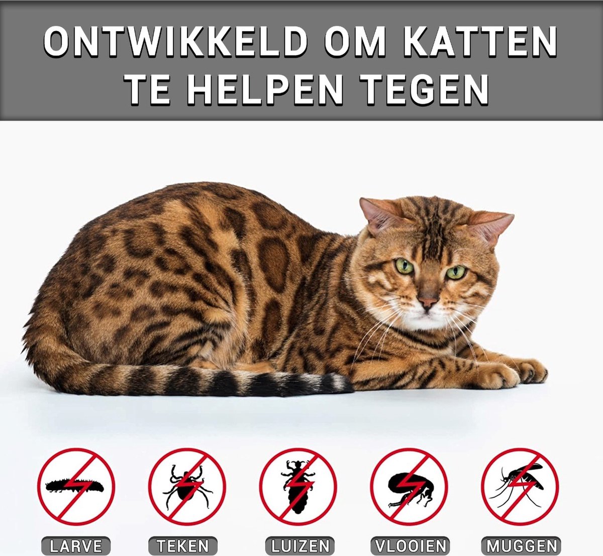 Vlooienband – Tekenband – Alle Maten – Anti Vlooien voor Katten– Anti ...
