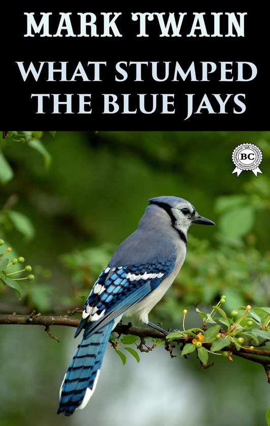 What Stumped the Blue Jays (ebook), Mark Twain | 9780880037693 | Boeken ...