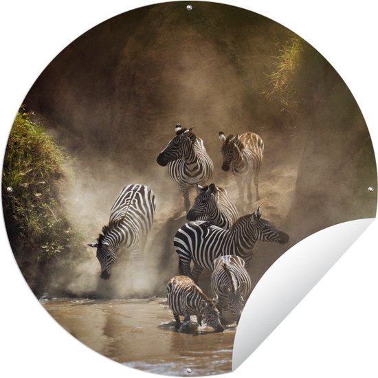 Tuincirkel Zebra's bij de Mara-rivier in het Masai Mara National Park ...