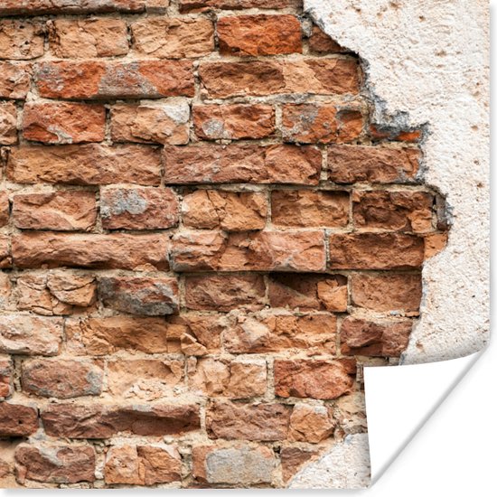 Poster Gips - Muur - Baksteen - 50x50 cm | bol