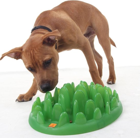 Anti Schling Interactieve Hond Voerbak - Groot Groen | bol