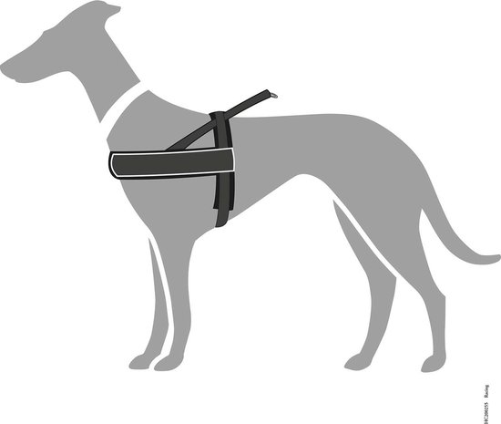 Hunter Tuig - Voor hond - Zwart - Medium - 48-60 cm | bol