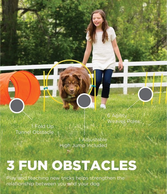 Agility Voor De Hond - Agility Set - Agility Hond - Behendigheid Hond ...