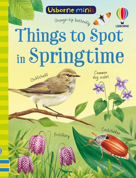 Usborne Minis- Things to Spot in Springtime, Kate Nolan | 9781835403518 ...