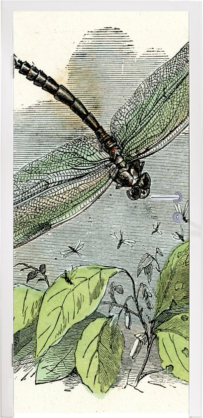 Deursticker een groene libelle - 95x235 cm - Deurposter | bol.com