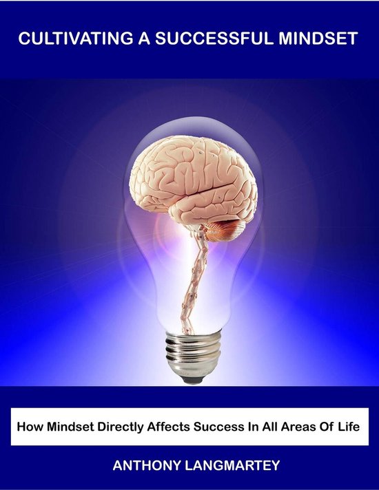 Cultivating A Successful Mindset: How Mindset Directly Affects Success ...