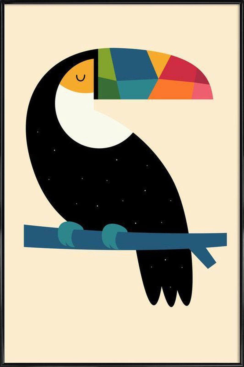 JUNIQE - Poster in kunststof lijst Rainbow Toucan -40x60 /Kleurrijk ...