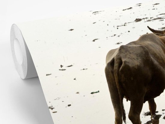 Behang - Fotobehang Waterbuffels die een overstroomd rijstveld ploegen ...