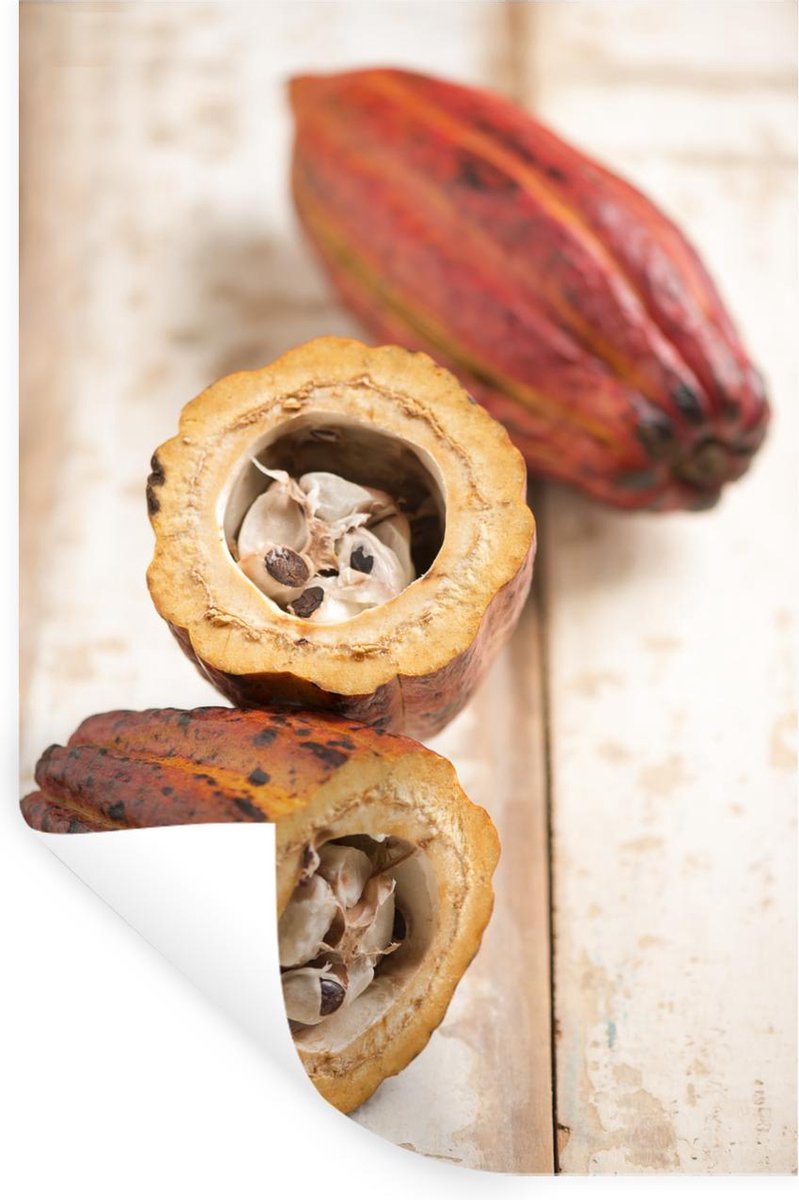 Muursticker Cacaoboon -peulenschil doormidden metcacaobonen inmidden ...