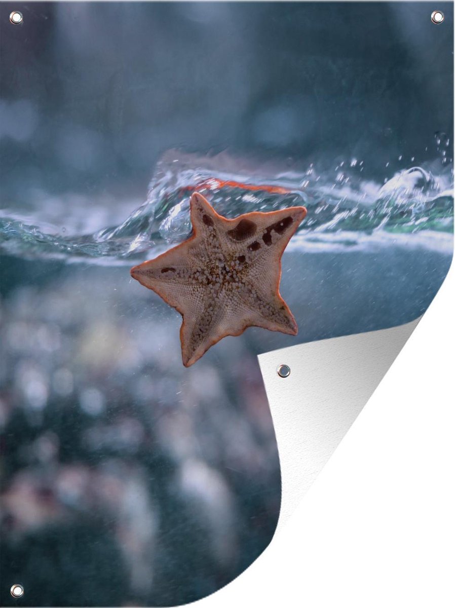 Affiche de jardin étoile de mer sous une vague déferlante toile en vrac ...