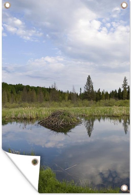 Muurdecoratie Waterplas in het Canadese nationaal park Prince Albert ...