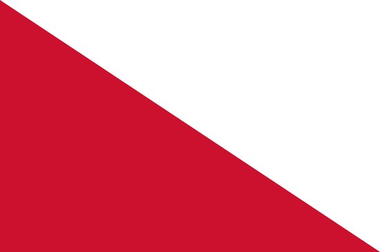 Vlag Utrecht Stad 120x180cm | bol
