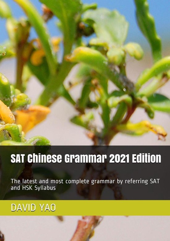 Chinese Grammar - SAT Chinese Grammar 2021 Edition 汉语水平考试规范性语法 (ebook ...