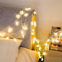 Led lampjes slinger - Sterretjes - 10 meter - 80 lichtjes - Warm white - Batterij -... | bol
