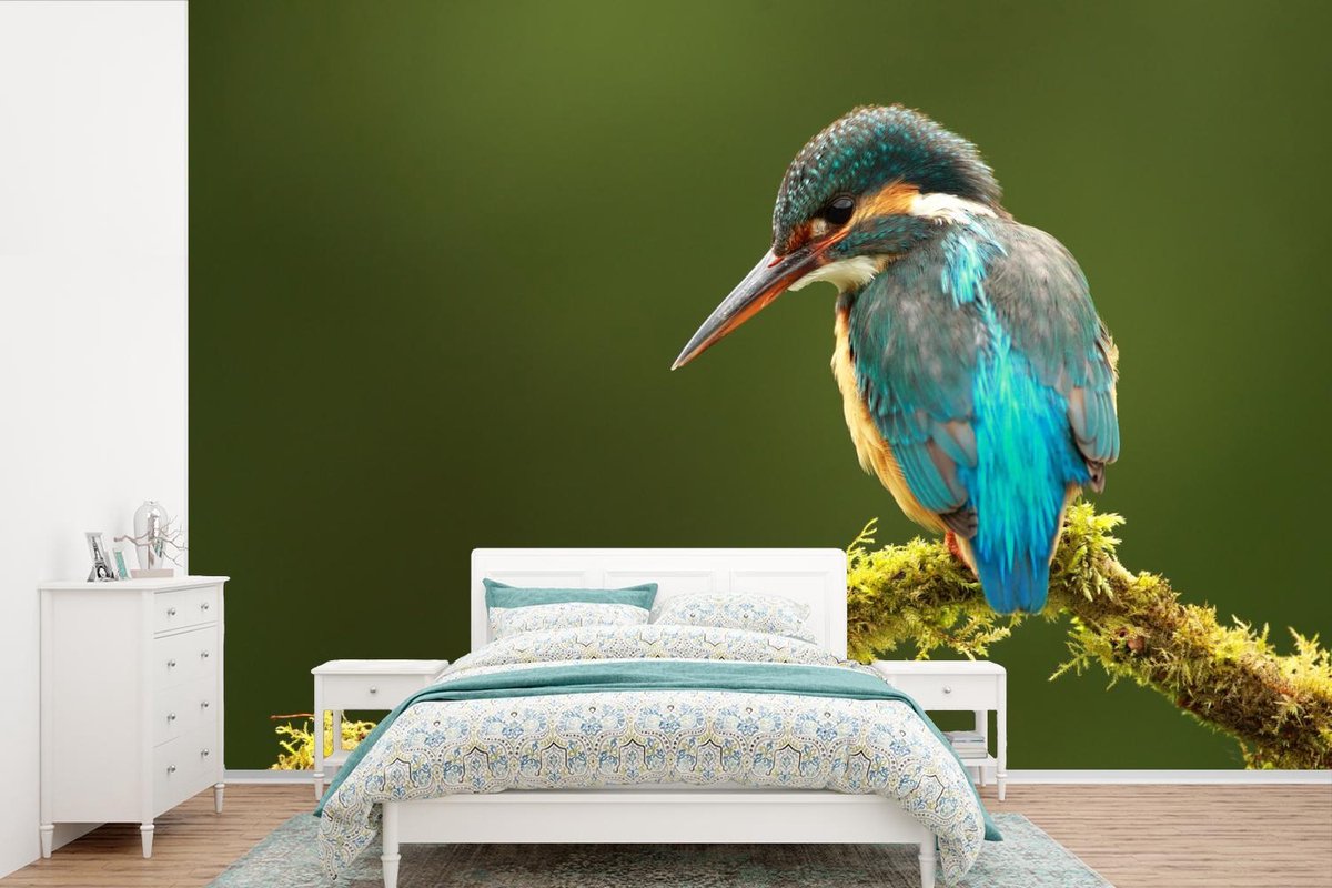 Behang - Fotobehang Planten - IJsvogel - Takken - Breedte 600 cm x ...