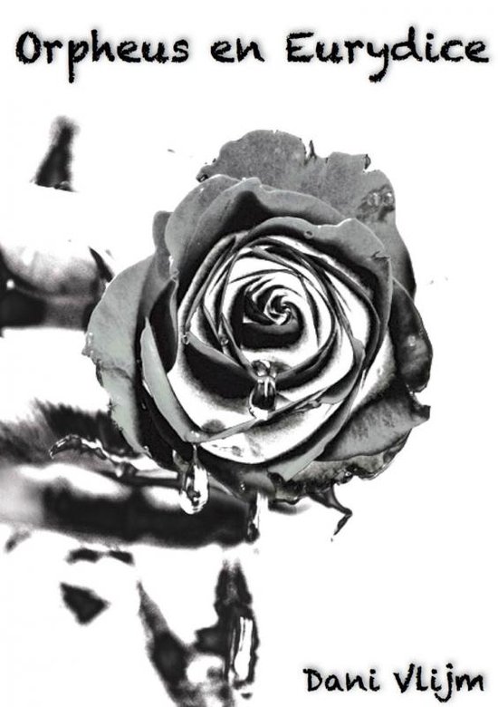 Orpheus en Eurydice (ebook), Dani Vlijm | 9789402188516 | Boeken | bol