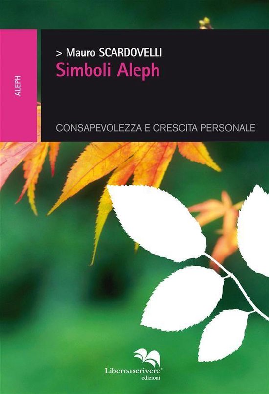 ALEPH 5 - Simboli Aleph (ebook), Mauro Scardovelli | 9788899137595 | Boeken | bol