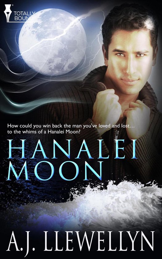 Hanalei Moon (ebook), A.J. Llewellyn | 9781781844892 | Boeken | bol.com