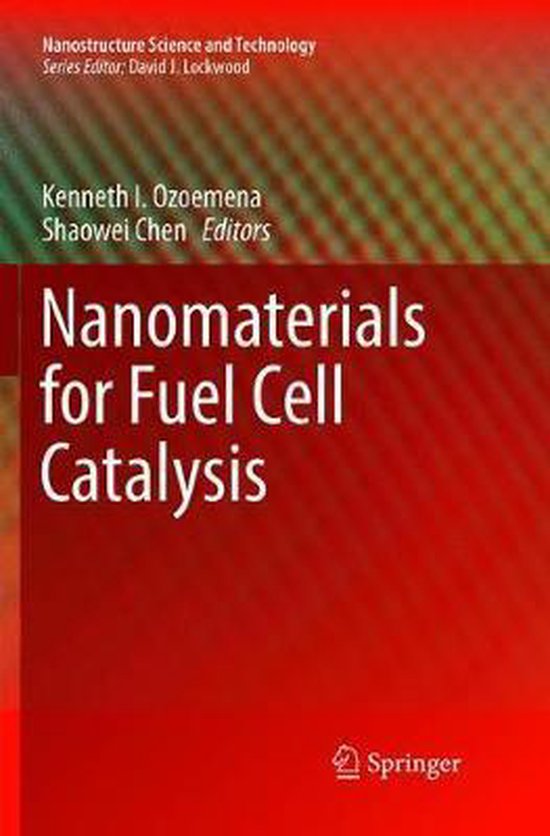 Nanostructure Science and Technology- Nanomaterials for Fuel Cell Catalysis |... | bol