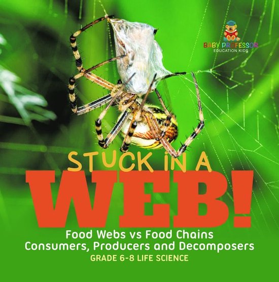 Stuck in a Web! Food Webs vs Food Chains Consumers, Producers and ...
