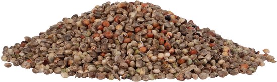 Reniers Fishing Partikel Mix Hennep - Dari - Rode Milocorn - Maat : 5 ...