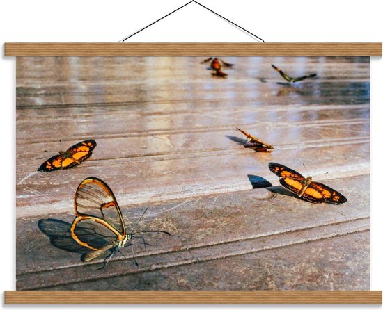 Schoolplaat – Vlinders op Houten Vloer - 60x40cm Foto op Textielposter ...