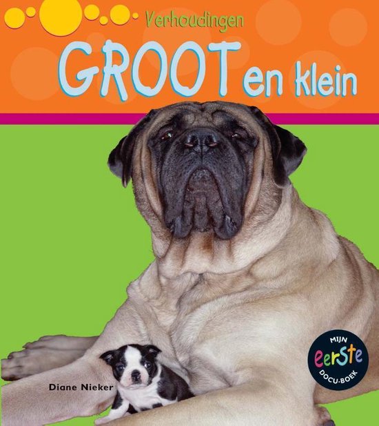 Verhoudingen - Groot en klein | 9789055666768 | Diane Nieker | Boeken ...