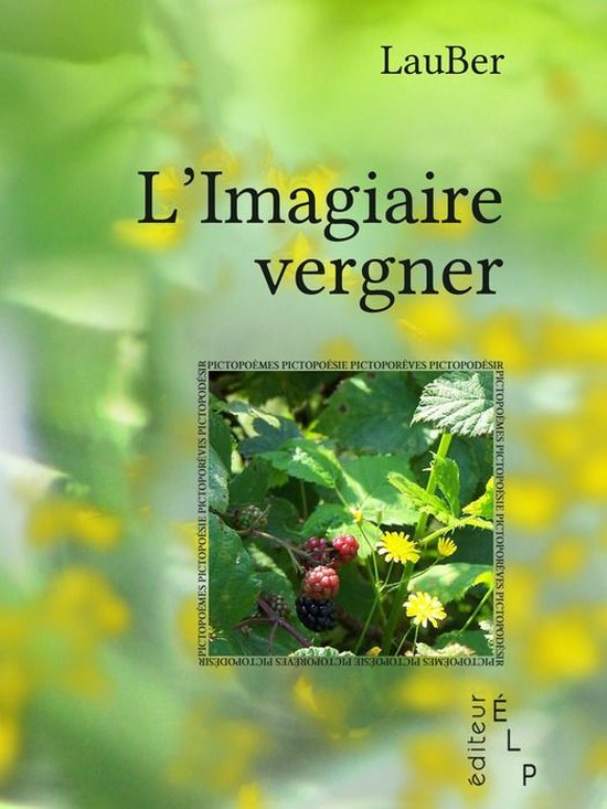Poésie - L'imagiaire vergner (ebook), Lauber | 9782923916750 | Boeken ...