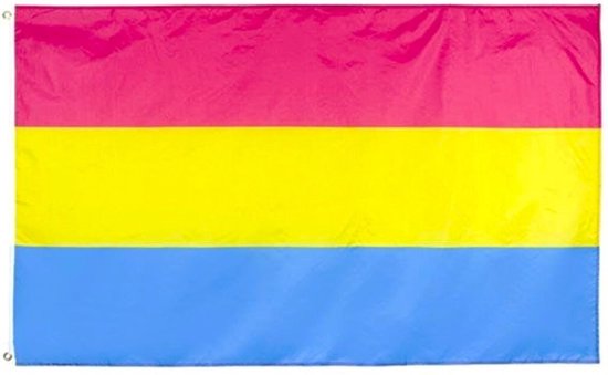 Pansexual Pride vlag 90x150 cm - Polyester - 2 ophangringen ...