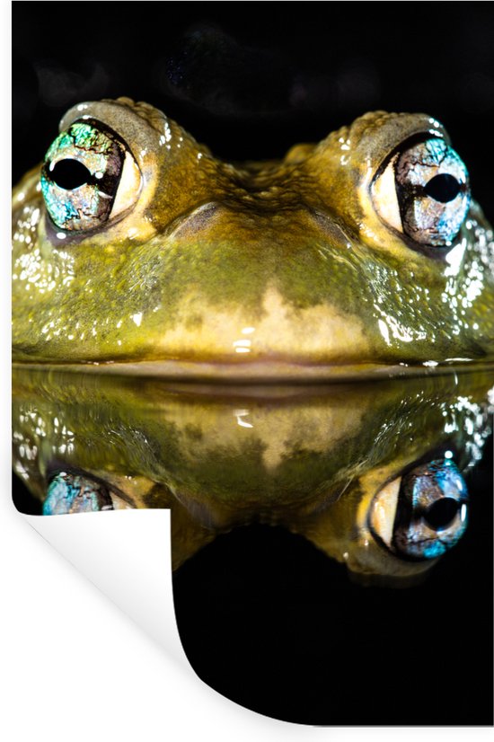 Muurstickers - Sticker Folie - Kikker - Ogen - Portret - 40x60 cm ...