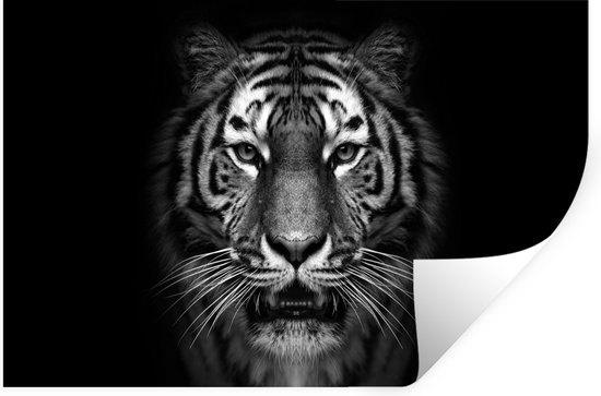 Muurstickers - Sticker Folie - Tijger - Dieren - Zwart - Wit - Portret - Wild - 30x20... | bol