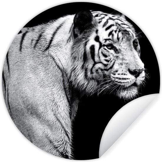 WallCircle - Muurstickers - Behangcirkel - Tijger - Wilde dieren - Licht - ⌀ 120 cm -... | bol
