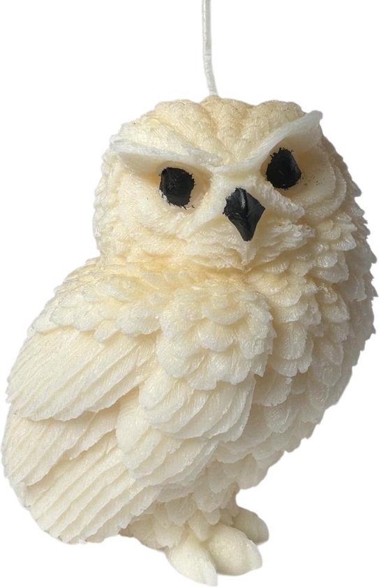 Uil kaars - Groot | bol