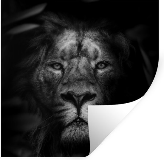 Muurstickers - Sticker Folie - Dieren - Leeuw - Wilde dieren - Zwart - Wit - 120x120... | bol