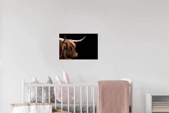 Muurstickers - Sticker Folie - Schotse hooglander - Vacht - Dier ...