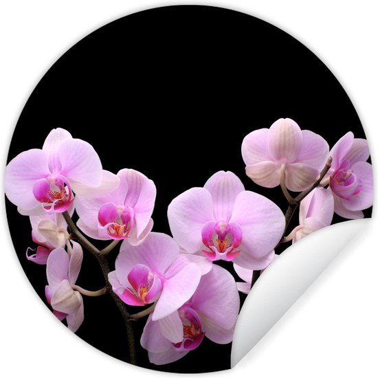 WallCircle - Muurstickers - Behangcirkel - Orchidee - Bloemen - Roze - Flora - ⌀ 120... | bol