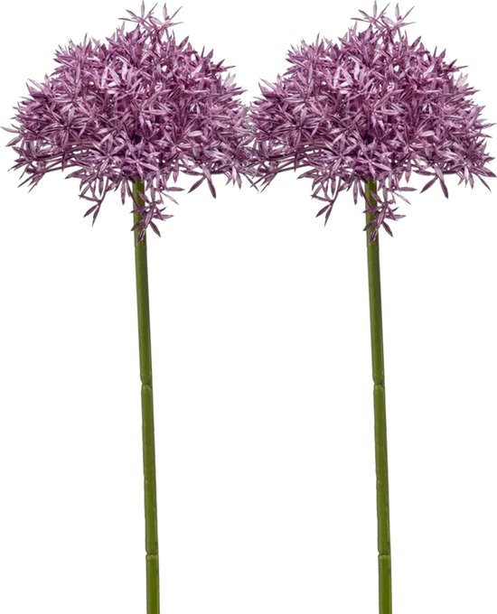 Emerald Allium/Sierui kunstbloem - 2x - losse steel - paars - 62 cm ...