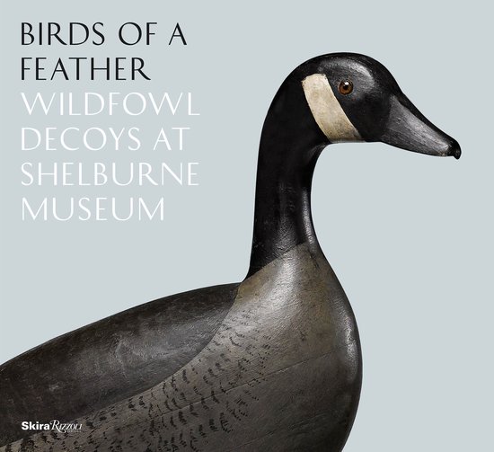 Birds of a Feather, Kory W. Rogers | 9780847860609 | Boeken | bol