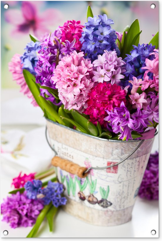 Posters de jardin extérieur Jacinthe - Cache-pot - Fleurs - 60x90 cm ...