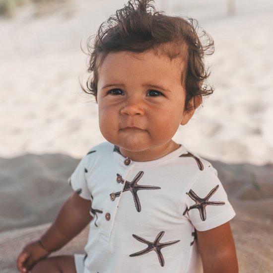 Star Fish | Diego | bol