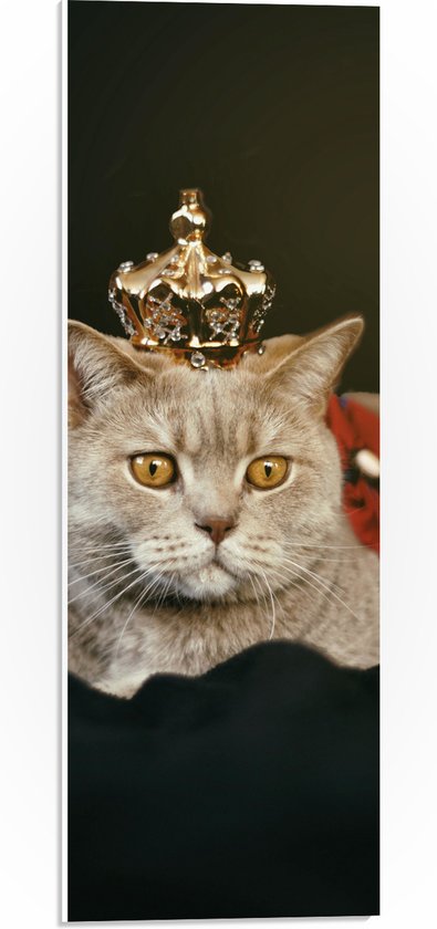 PVC Schuimplaat - Kat als Koning met Kroontje - 20x60 cm Foto op PVC ...
